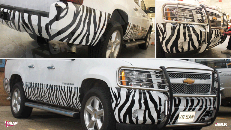 Vinyl Striping for Vehicles, Vehicle Vinyl Striping, Car Stripes, Van ...